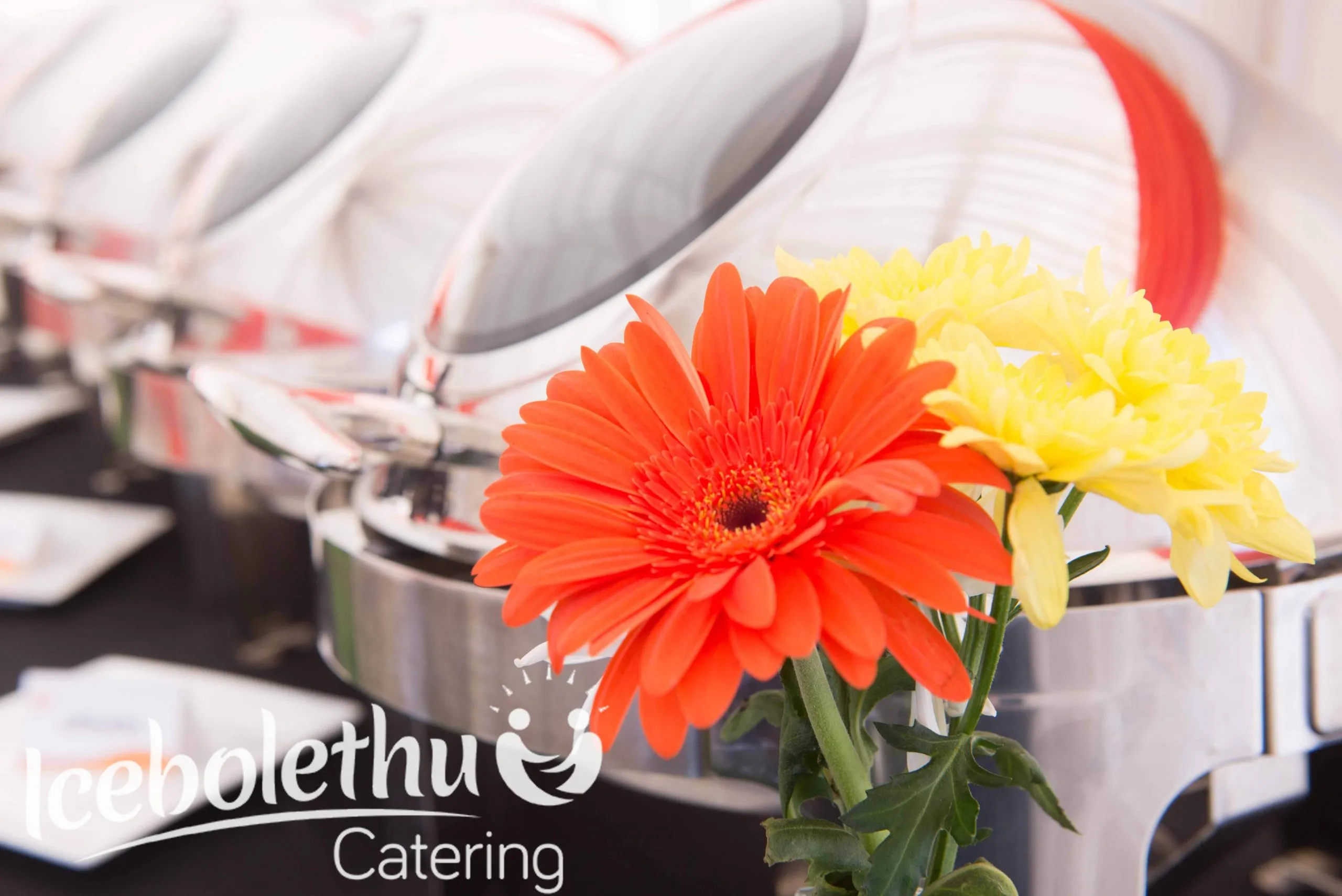 Free Funeral Courtesy Car – Icebolethu Group