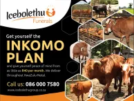 Inkomo Plan In Action – Icebolethu Group
