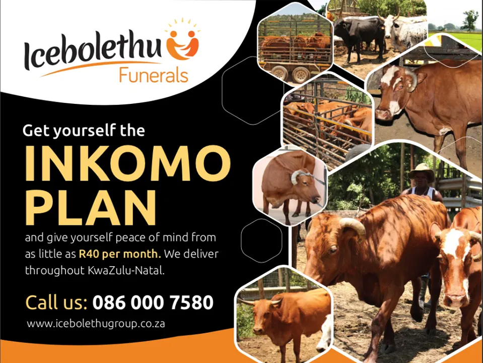 Inkomo Plan In Action – Icebolethu Group