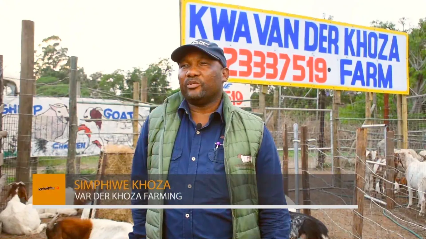 Inkomo Plan In Action – Icebolethu Group