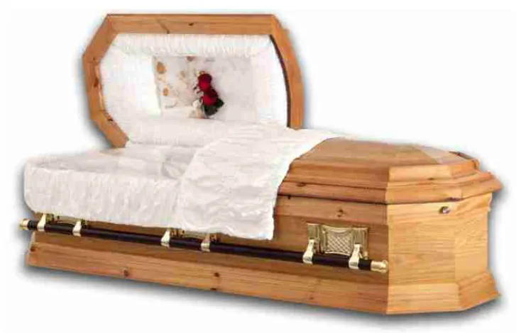 Bathathu Group Scheme - Icebolethu Group